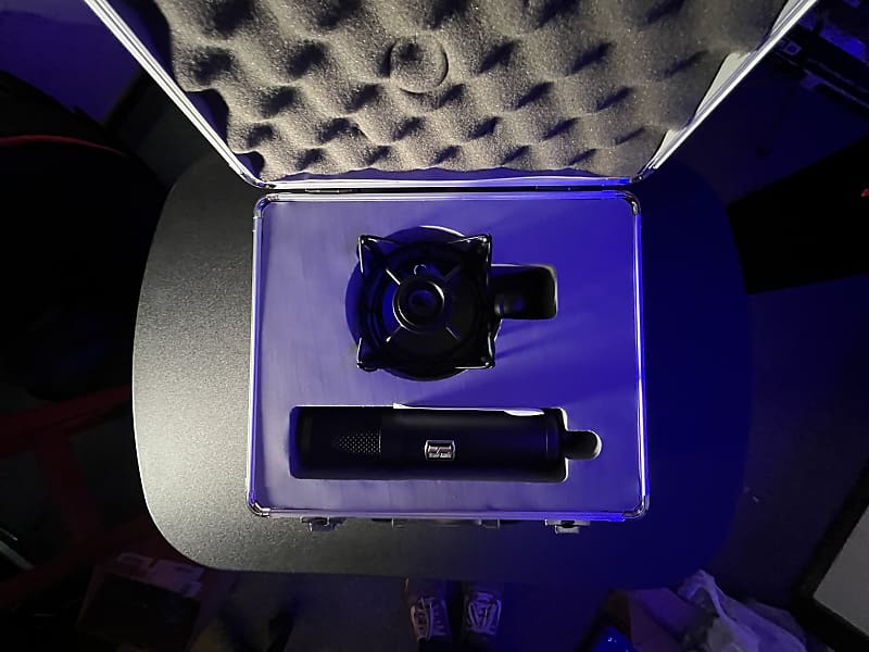 Slate Digital ML-1 Cardioid Condenser Microphone | Reverb