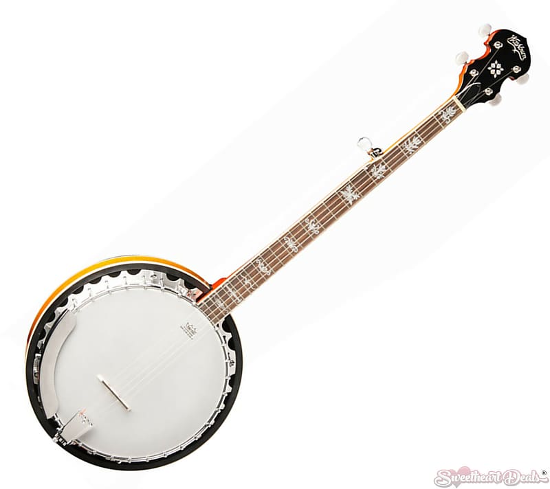 Washburn B10 Five String Banjo with Remo Head - Sunburst | Reverb