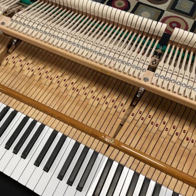 C. Bechstein Model IV 7'2" Grand Piano 1899 (Restored) | Reverb