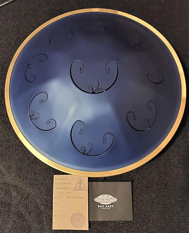 RAV Vast C Golden Gate 2022 - Metal W/Bag | Reverb