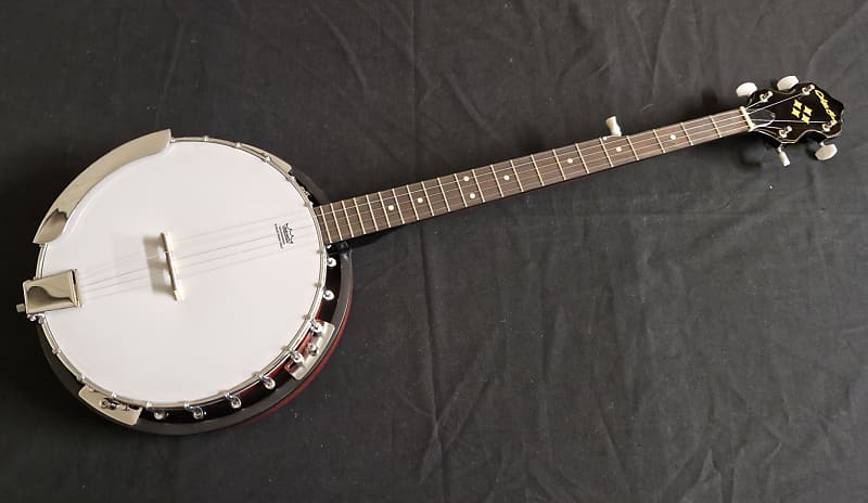 Delta Blue 24 Lug Closed back Banjo (DBJ25) - 8mm bag | Reverb