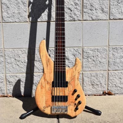 Scott Ambush Custom 5 String Bass | Reverb