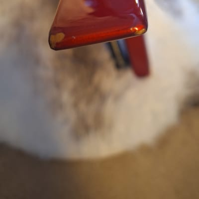 Kramer Focus 5000 1985 - Red | Reverb