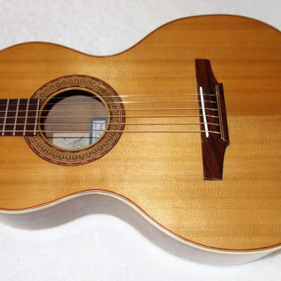 1999 Michael Turko "Tennessee Tornado " Parlor Guitar | Reverb