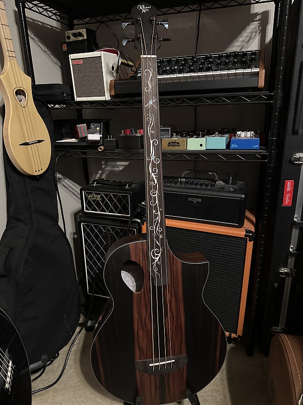 Michael Kelly Dragonfly 4 Port Fretless Acoustic-Electric | Reverb