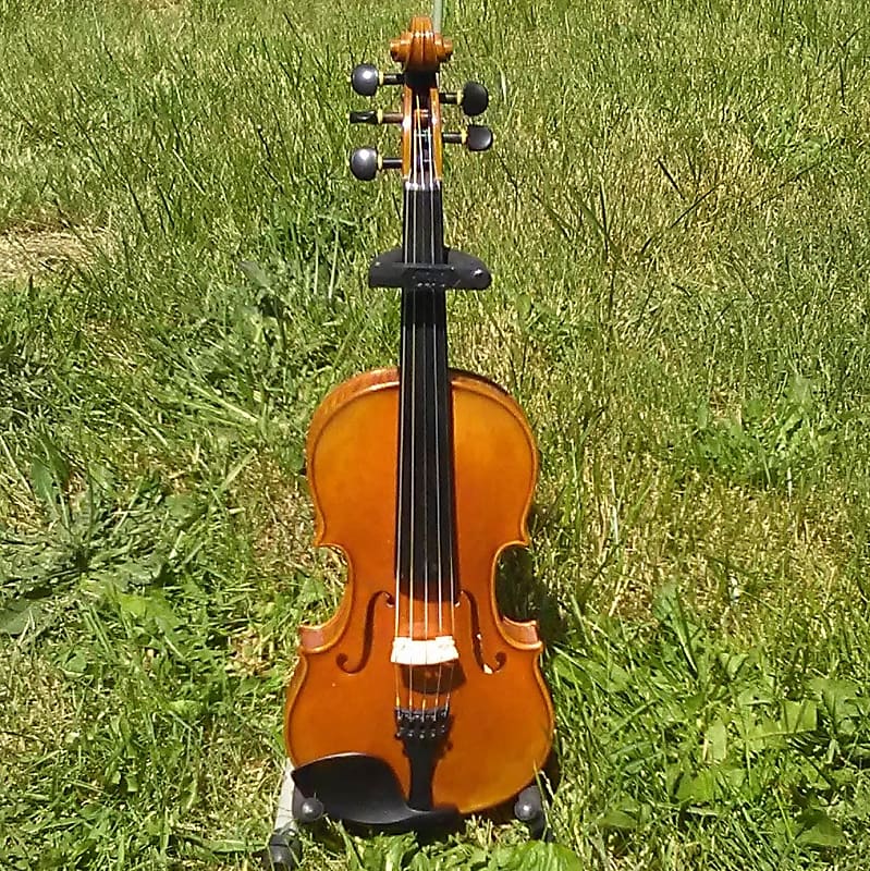 5-String Violin | Reverb