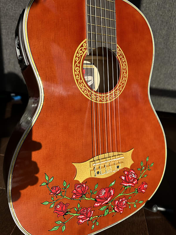Esteban Crystal Rose Acoustic Guitar | Reverb