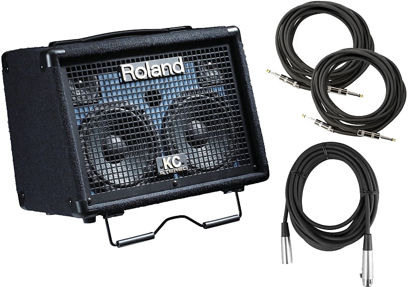 Korg KC-110 30-Watt Battery Powered Keyboard Amplifier Bundle | Reverb