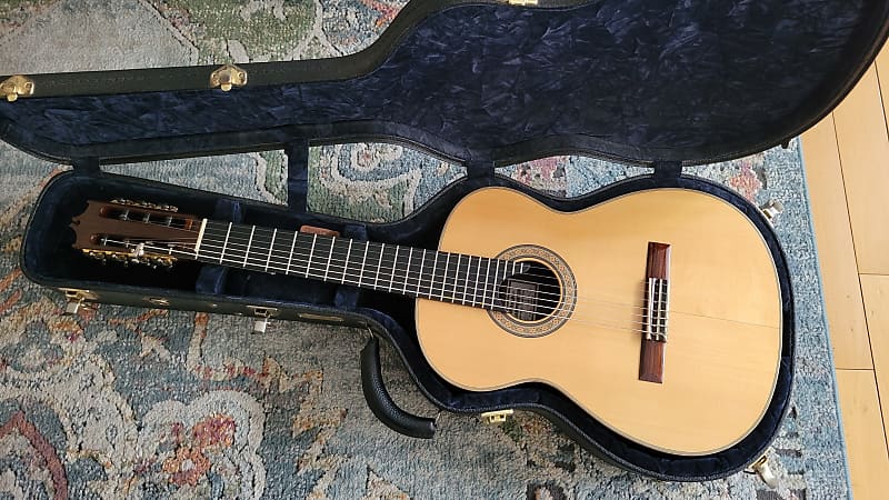 Waylin Carpenter Extended 7-string, short scale 2009 | Reverb