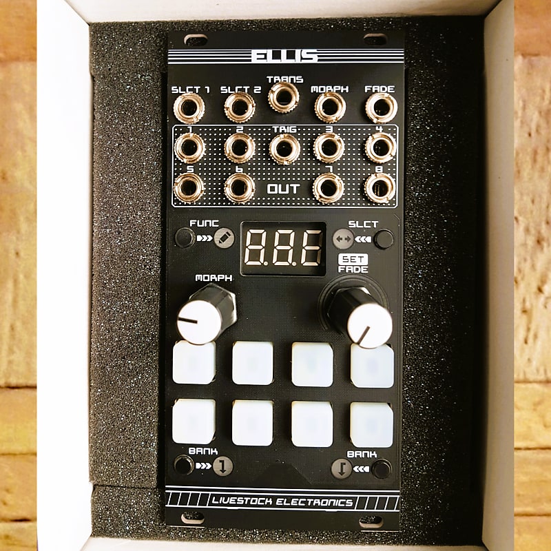 Livestock Electronics Ellis 2021 - Black | Reverb