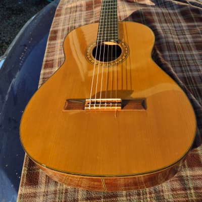 S. Yairi 680 1980 - Natural | Reverb