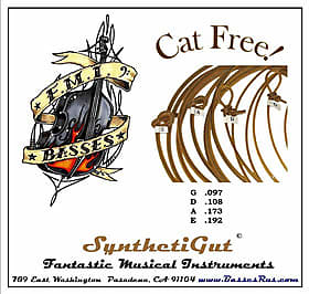 FMI Music Upright Bass Strings Synthetic Gut Upright Bass | Reverb