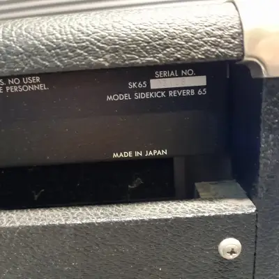 Fender Sidekick Reverb 65 | Reverb