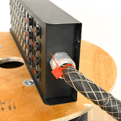 Seismic Audio SALS-32x8x150 32-Channel Snake with 8 | Reverb Canada