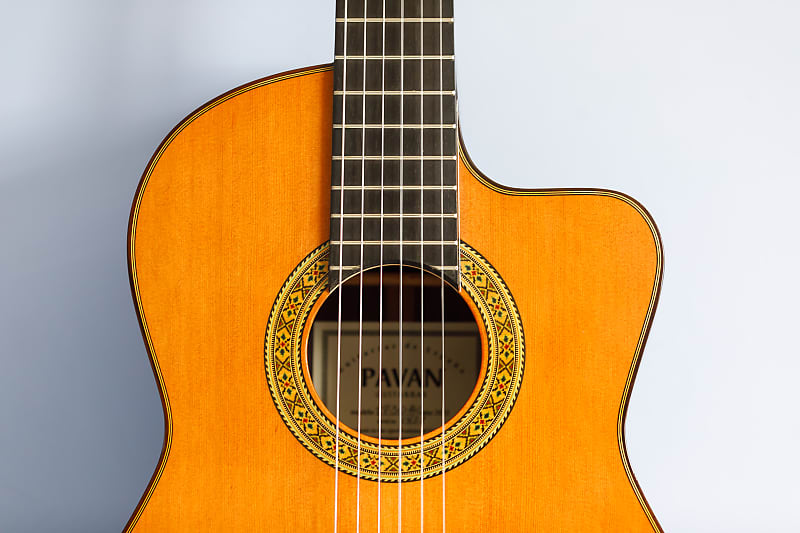 Pavan TP-30 Acoustic Cutaway Classical Guitar Cedar- All | Reverb