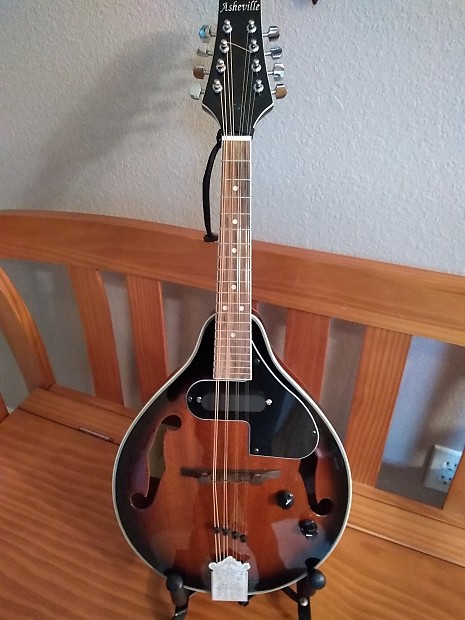 Asheville Acoustic Electric Mandolin AM3SB 1980'S High Gloss | Reverb