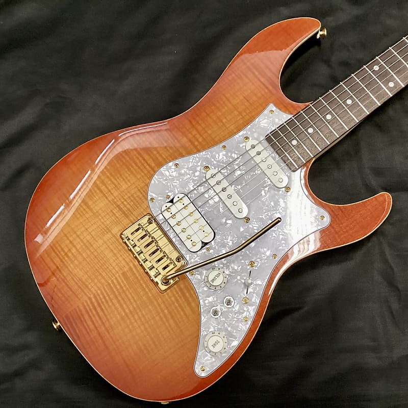 Fujigen/Fgn EOS-FM-R/VV | Reverb