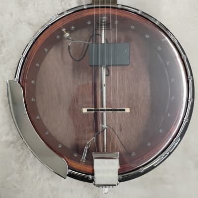 Dean Backwoods Model BW2E 5 string Electric Banjo with | Reverb UK