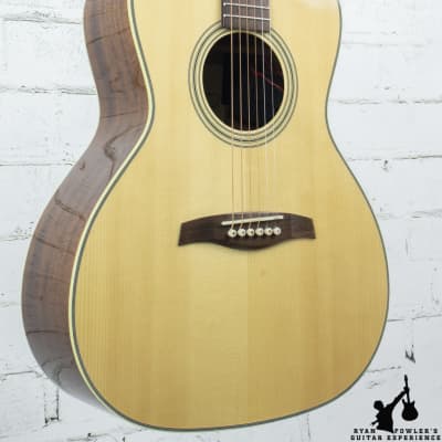 Gary Levinson LS-23 Acoustic Electric Folk Guitar w / gigbag | Reverb