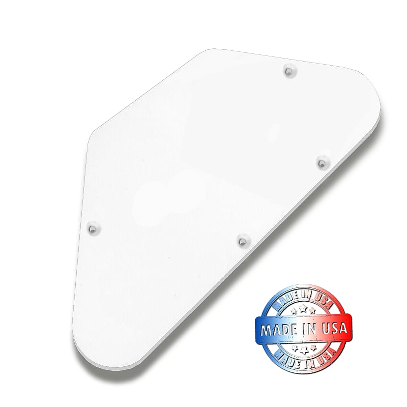 White Plastic Control Cavity Cover Back Plate Newer Style | Reverb