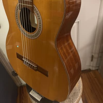 Amada (Strunal) 4655 HG 4/4 Student Classical Guitar - | Reverb