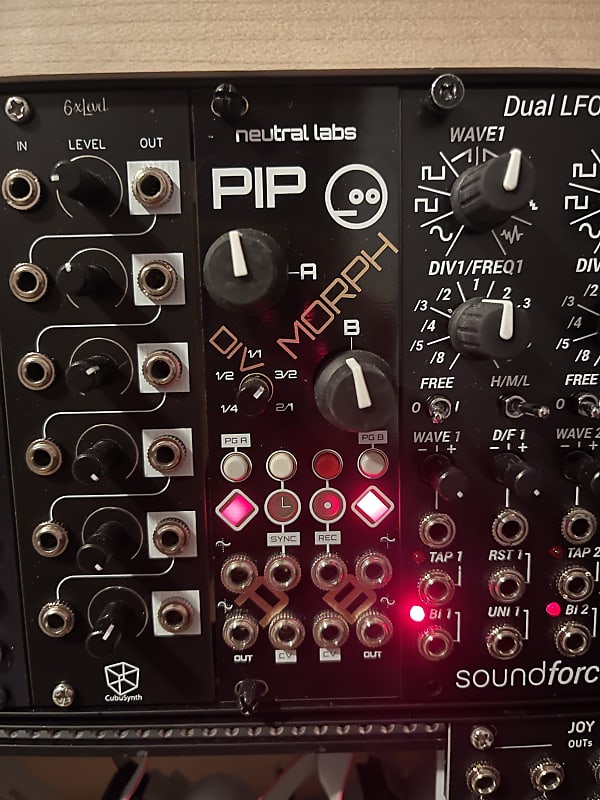 Neutral Labs PIP - Dual clocked CV generator/recorder 2023 - | Reverb