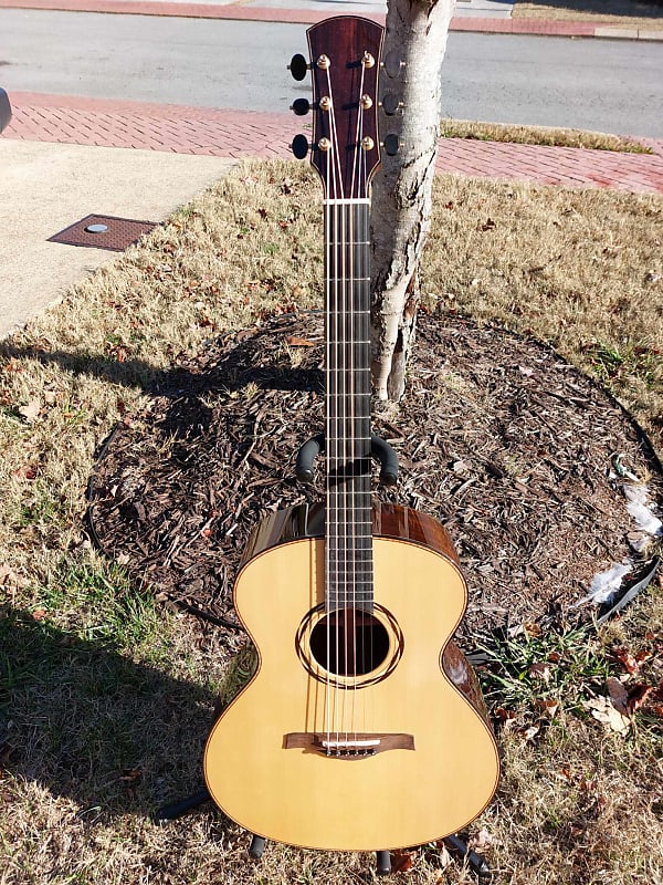 Bresnan GS - Brazillian Rosewood/German Spruce! | Reverb