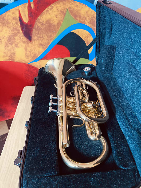 Stagg WS-CR215 Bb Cornet with Hard Case | Reverb