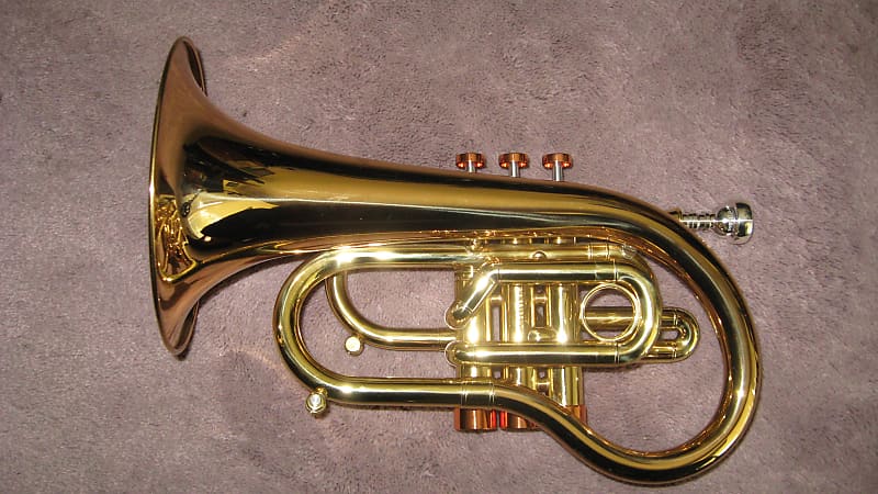 Carol Brass PHAT PUPPY FLUGELHORN 2024 - LACQUER | Reverb