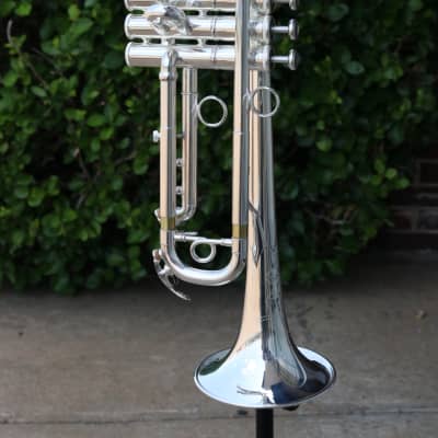 BAC Musical Instruments Handcraft Series Paseo Professional | Reverb