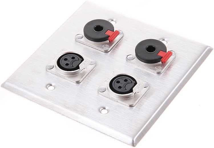 Pro Co WP2040 Double Gang Stainless Steel Wall Plate with 2 | Reverb