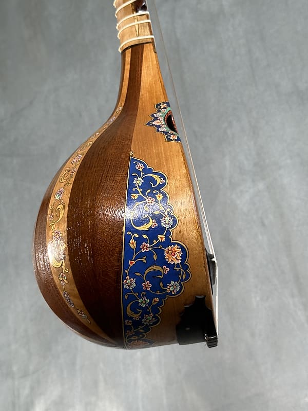 5 string Setar with Gilding painting 2024 | Reverb