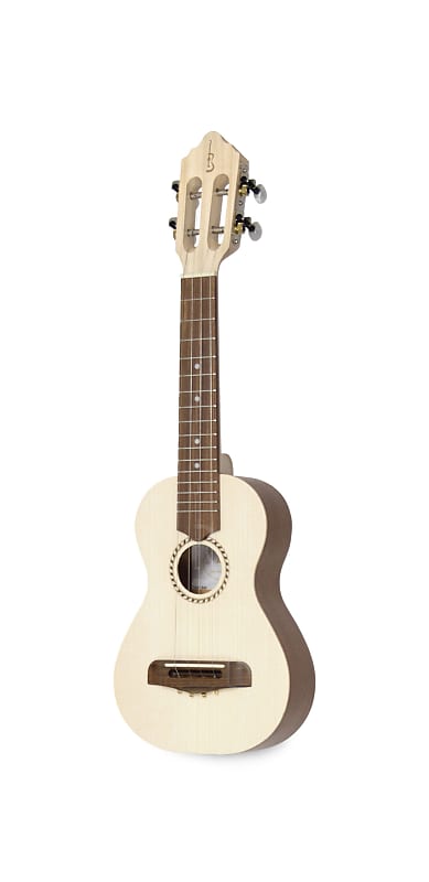 APC 555 BRAGUINHA Made in Portugal 4 metal strings DGBE or | Reverb