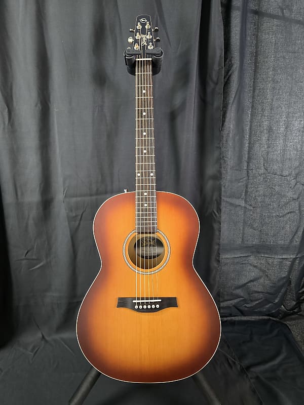Seagull Entourage Folk Guitar in Rustic Burst w/New Hardshell | Reverb