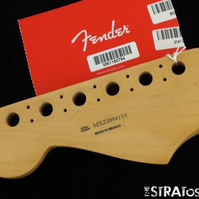 Fender Player Stratocaster Strat - NECK * Modern "C" Shape | Reverb