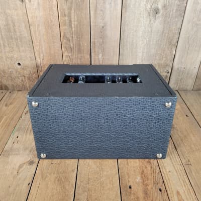 Giulietti Ampeg Jet J12 T 1959 - "Navy Random Flair" aka | Reverb