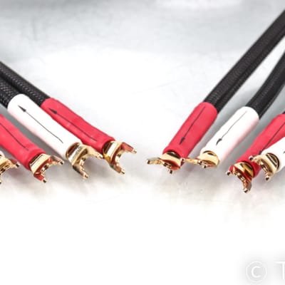 Shunyata Research Sigma v1 Speaker Cables; 2m Pair | Reverb