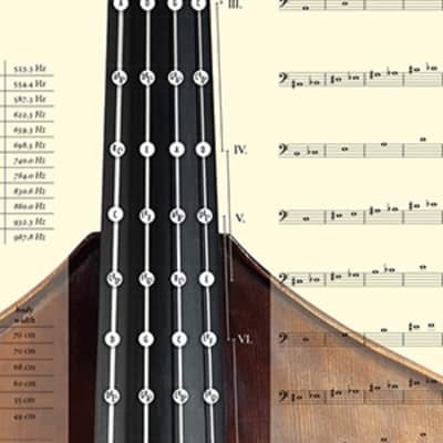Double Bass Fingerboard Chart and Cheat Sheet (folded, 6 | Reverb