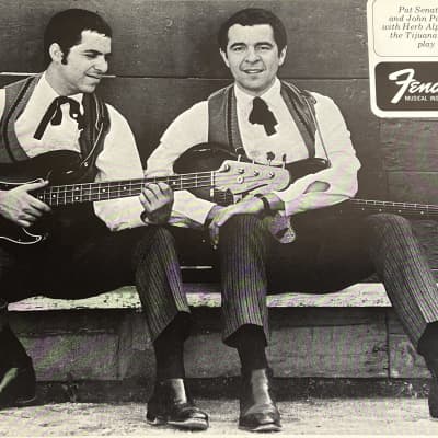 Fender Pat Senatore John Paisano 60s 8x19 glossy promo photo | Reverb