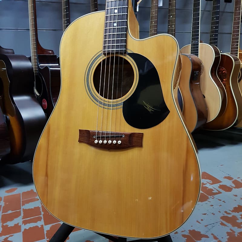 Maton Ecw80 C 6 | Reverb