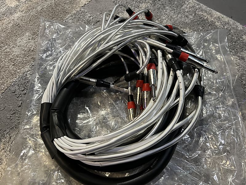 Seismic Audio SAST-12-24-10 - 12 Channel Insert Snake 12 TRS | Reverb