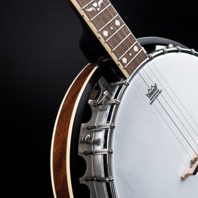 Oscar Schmidt OB5 5-String Electric Banjo | Reverb