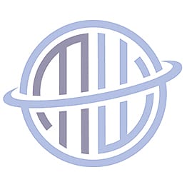 Epiphone EpiLite Case Explorer | Reverb