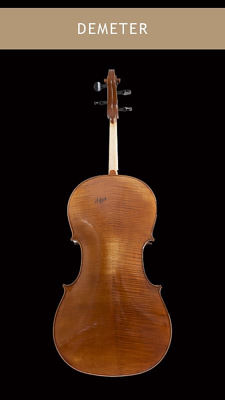 Christian Petru Demeter 4/4 Cello Romanian Cello | Reverb