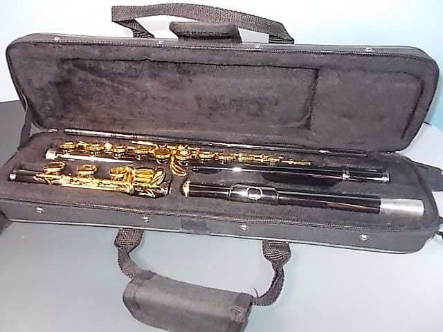 Mendini Cecilio Intermediate Flute Open Hole Black & Gold | Reverb