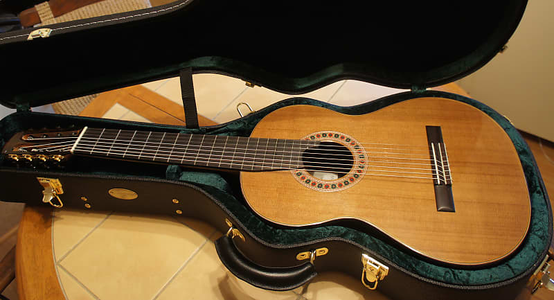 Darren Hippner 8 String Classical Guitar Starburst 2022 | Reverb