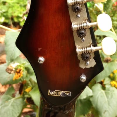 Sekova Bighorn ( aka Bison) 60's - Tobacco Sunburst | Reverb
