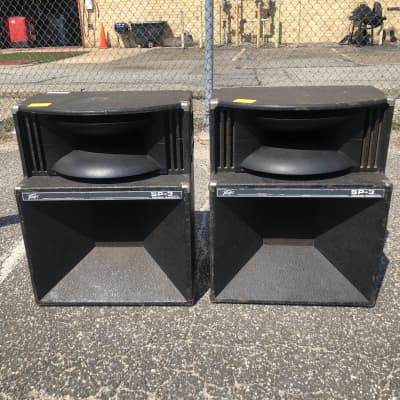 Peavey SP3 Full Range 2 way Speakers | Reverb