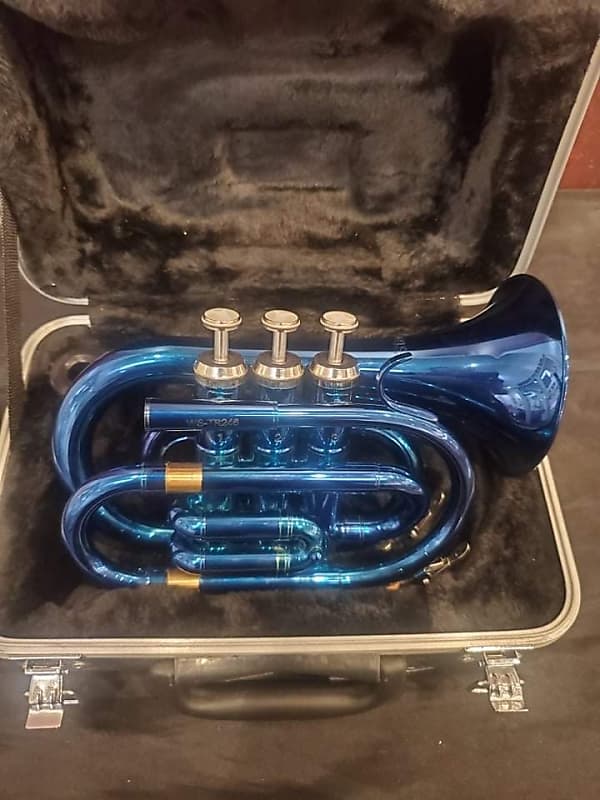 Stagg Student Trumpet In Blue (Orlando, Lee Road) | Reverb