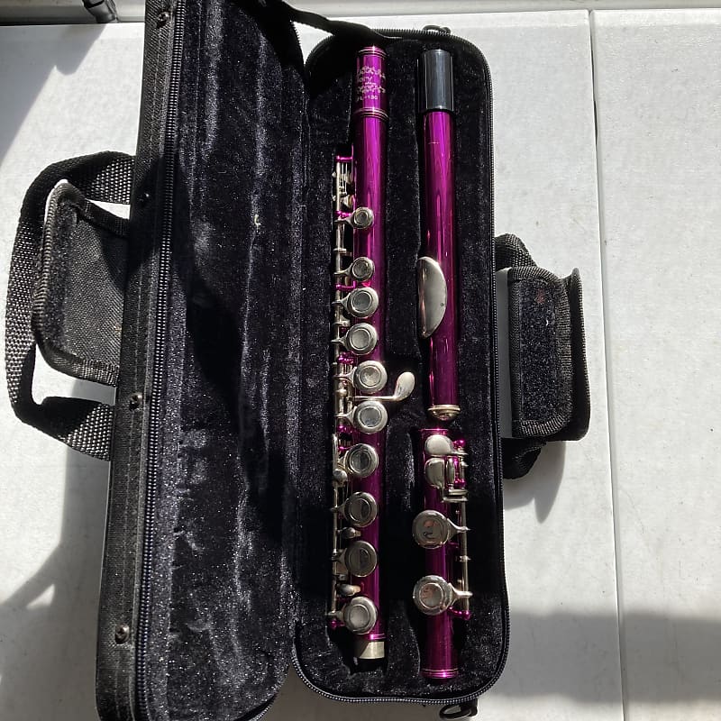 Glory GFL-130 Pink Flute | Reverb